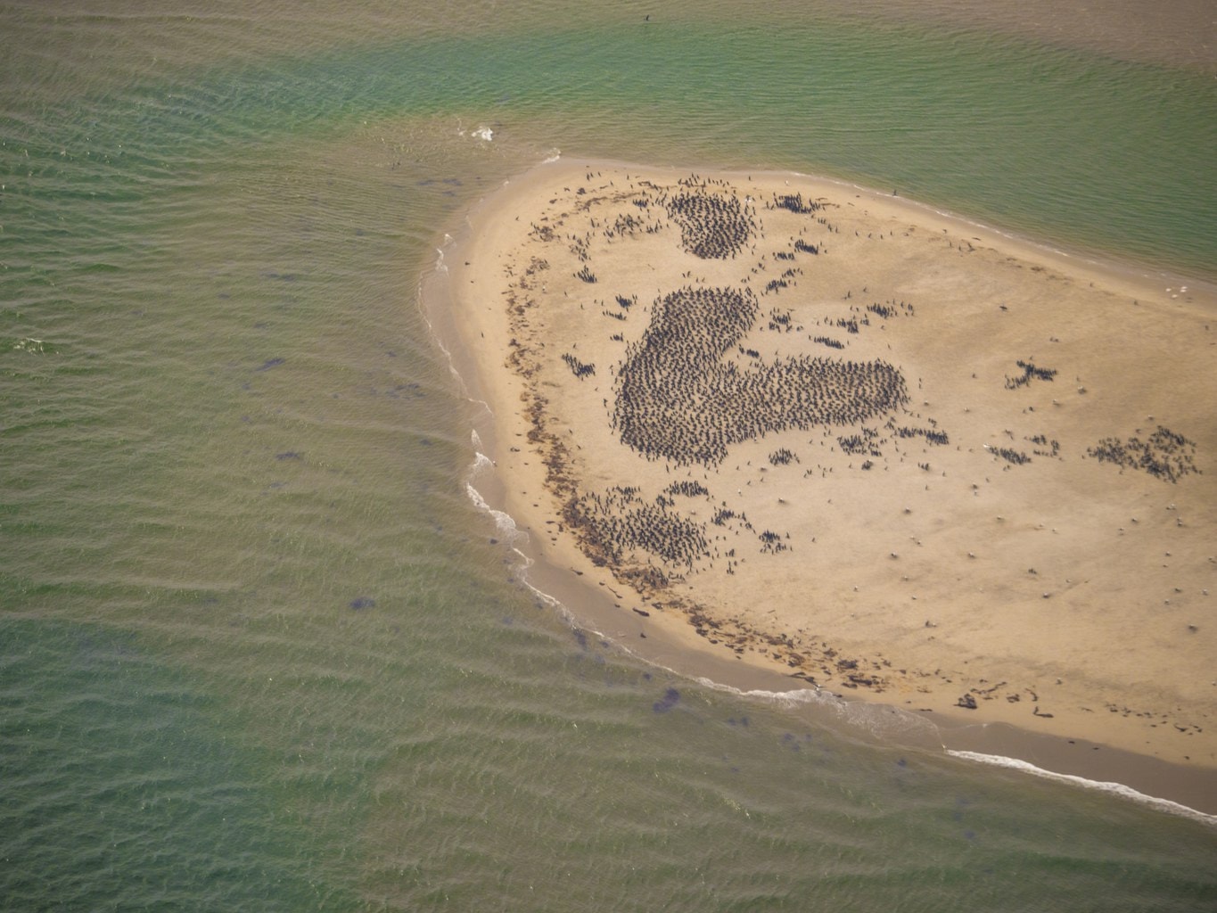 25+ breathtaking aerial photos of Namibia from the sky