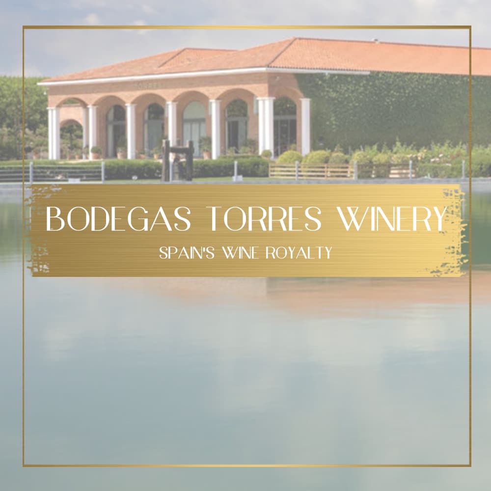 Caring for the Earth at Bodegas Torres Winery, Spain's Wine Royalty