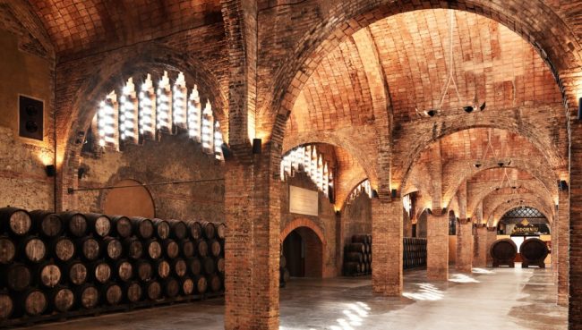 Visiting Cava Codorniu Spain's oldest family-run business