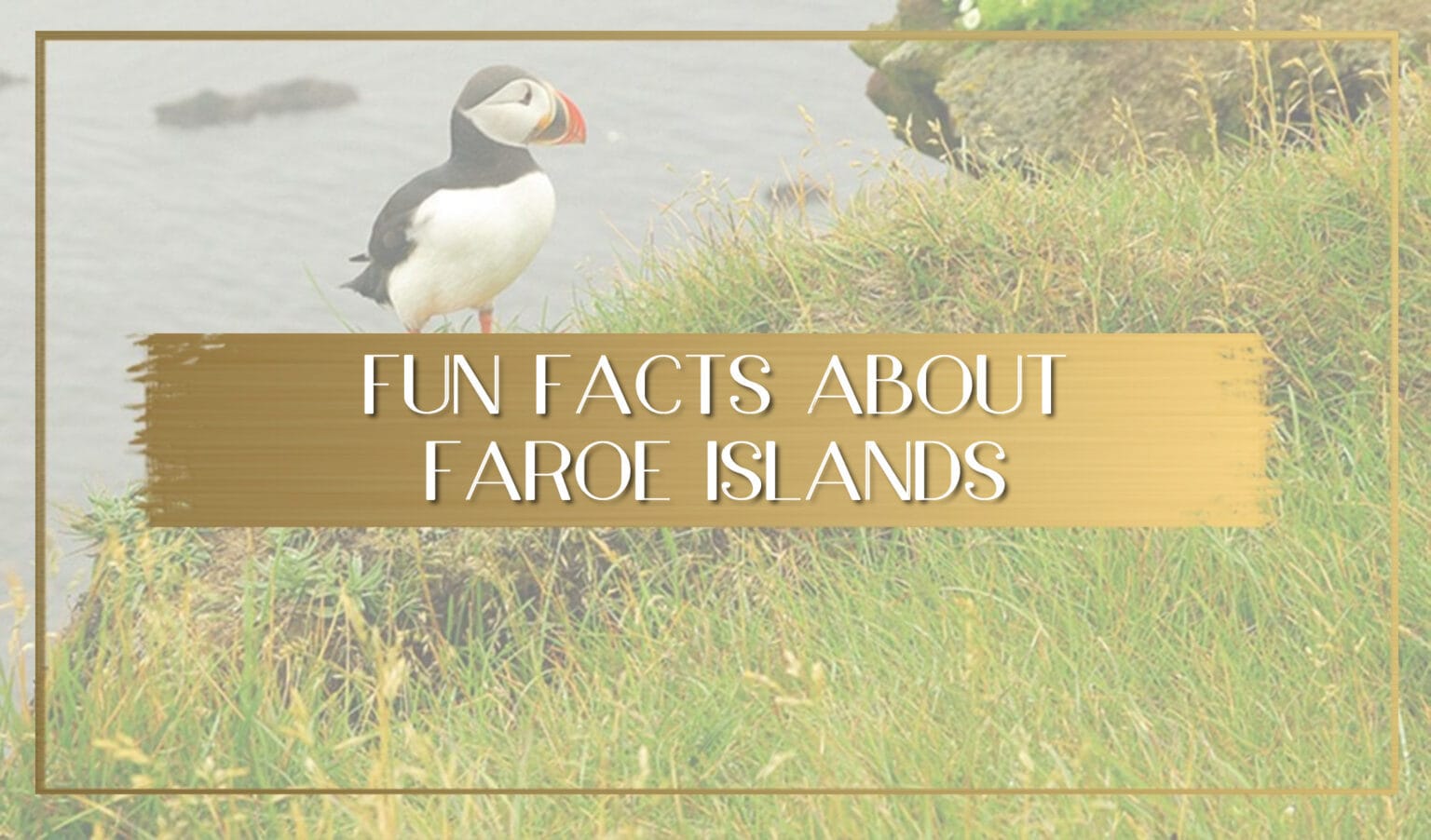 Fun facts and things you didn't know about the Faroe Islands