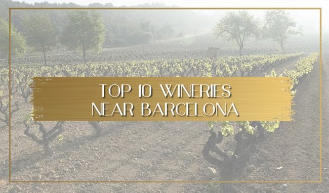 Top wineries near Barcelona to visit in 2020 - Best wine and cava tours