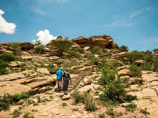 Guide to the Laas Geel cave paintings in Somaliland
