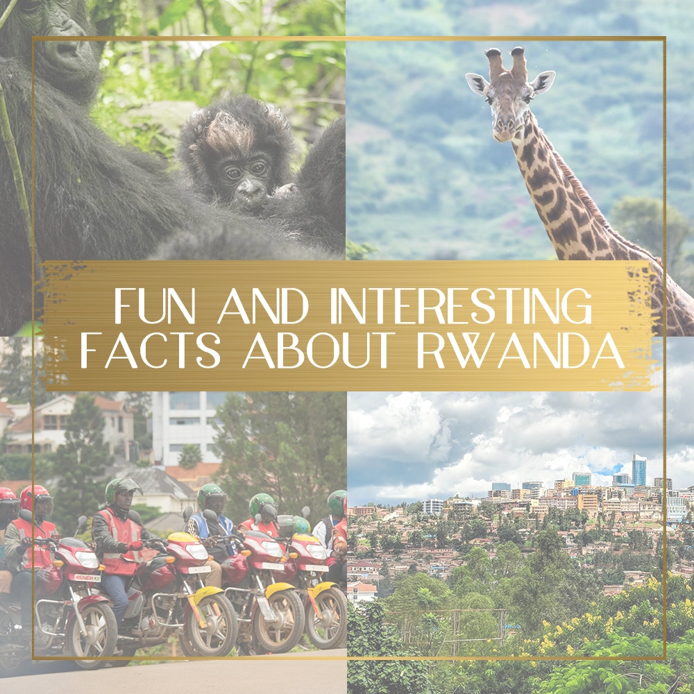 Fun and interesting facts about Rwanda