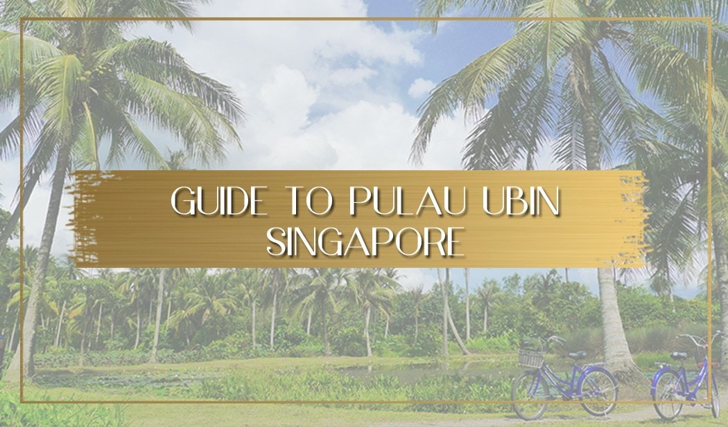 What to do in Pulau Ubin Singapore’s favourite island