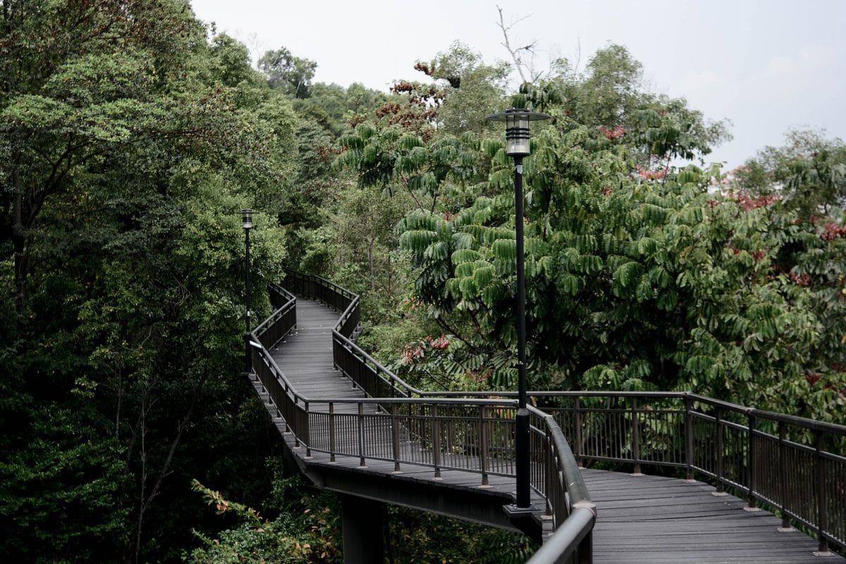 Guide to the The Southern Ridges and Henderson Waves