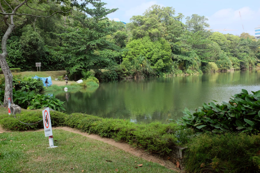 Guide to the The Southern Ridges and Henderson Waves