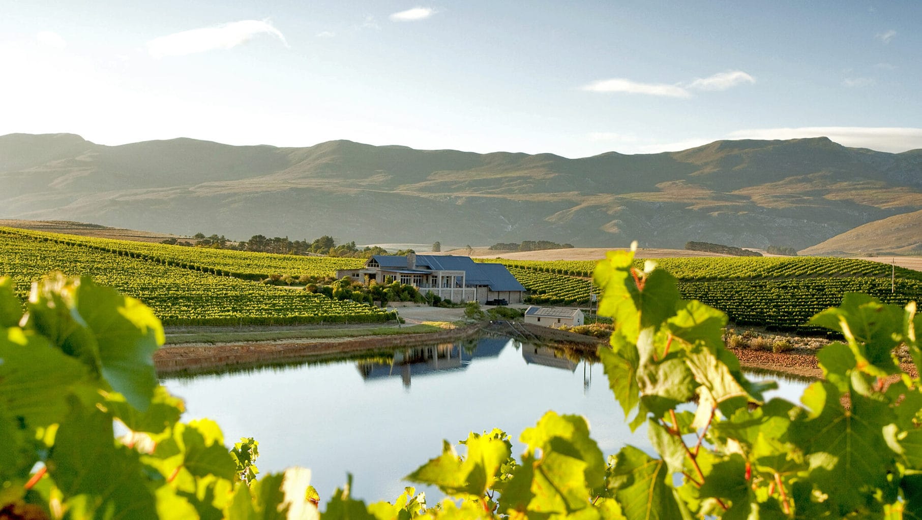 Best Wineries near Cape Town - Once In A Lifetime Journey