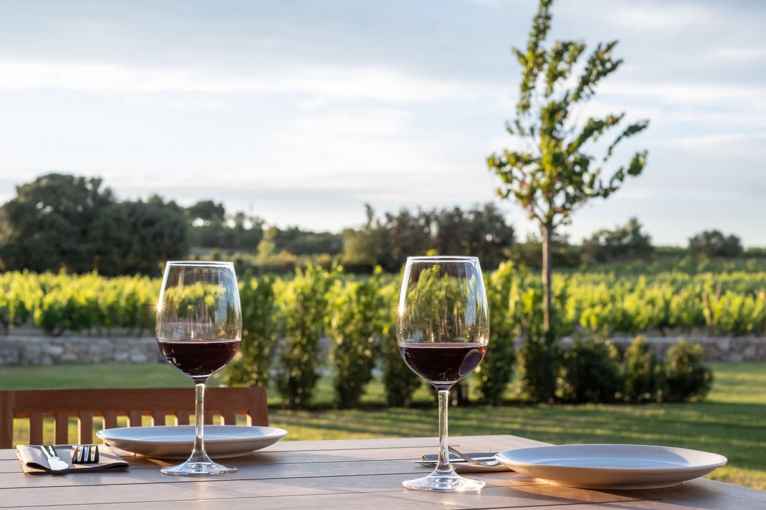 How to make the most of your Familia Torres Winery visit