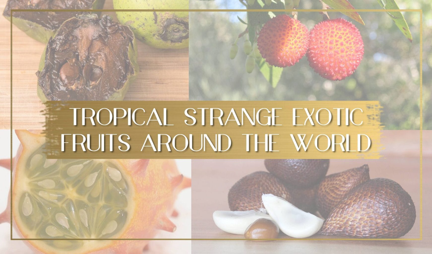 Tropical, strange and exotic fruits you've never seen before - Once In ...