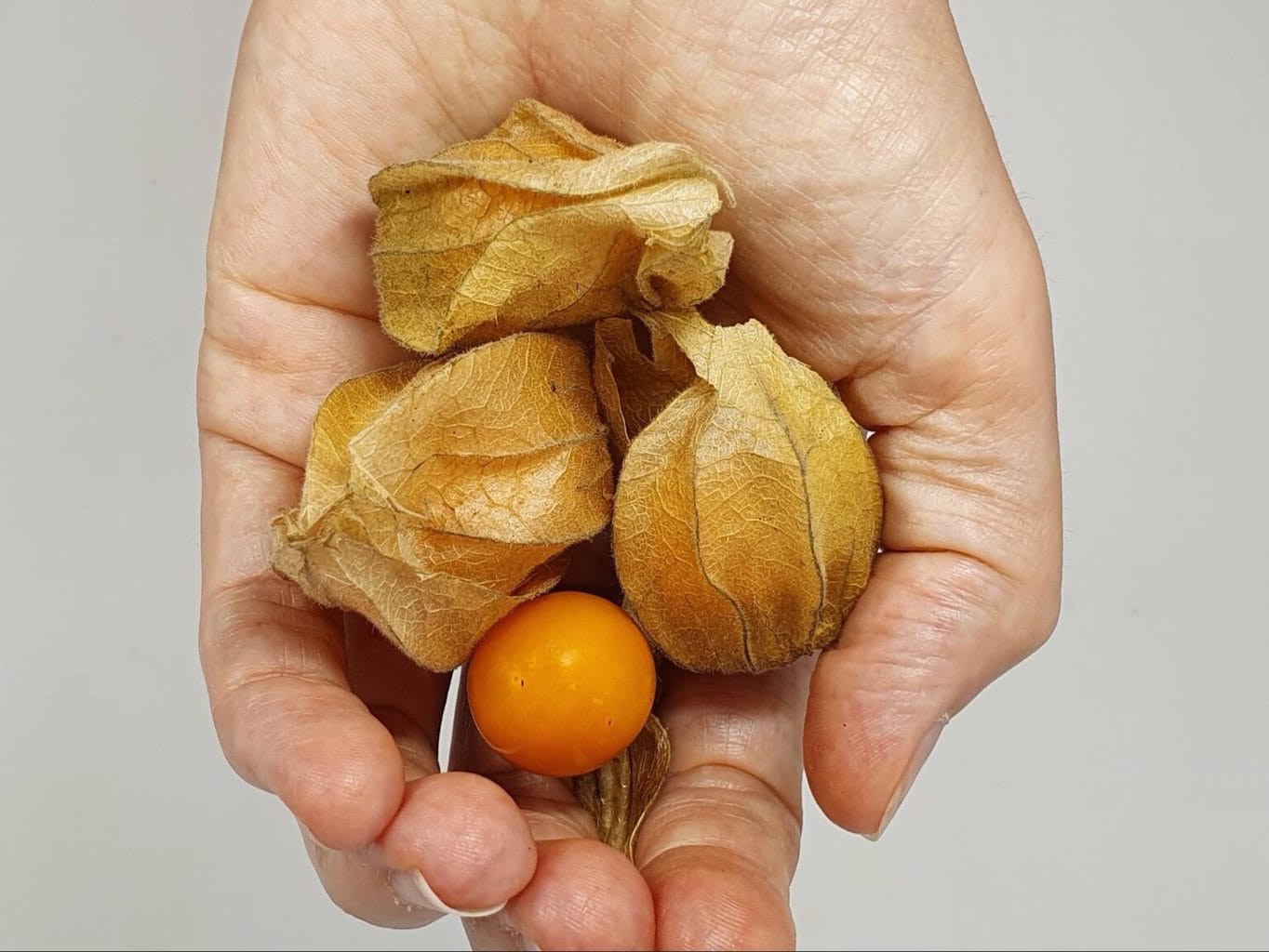 Tropical, strange and exotic fruits you've never seen before - Once In ...